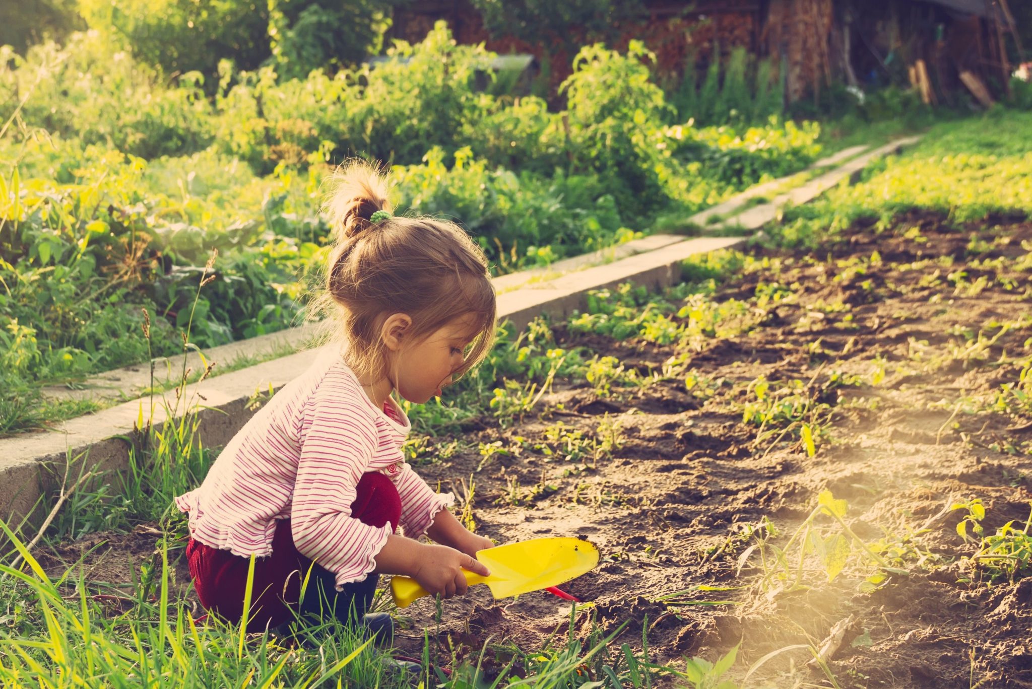 Apprendre à ses enfants à aimer et à protéger la nature – Potager-de ...